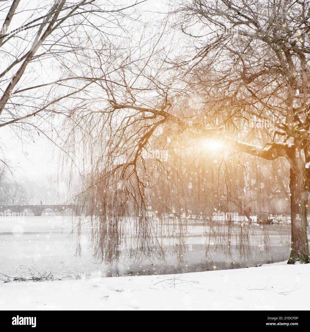 Shiny bridge hi-res stock photography and images - Alamy