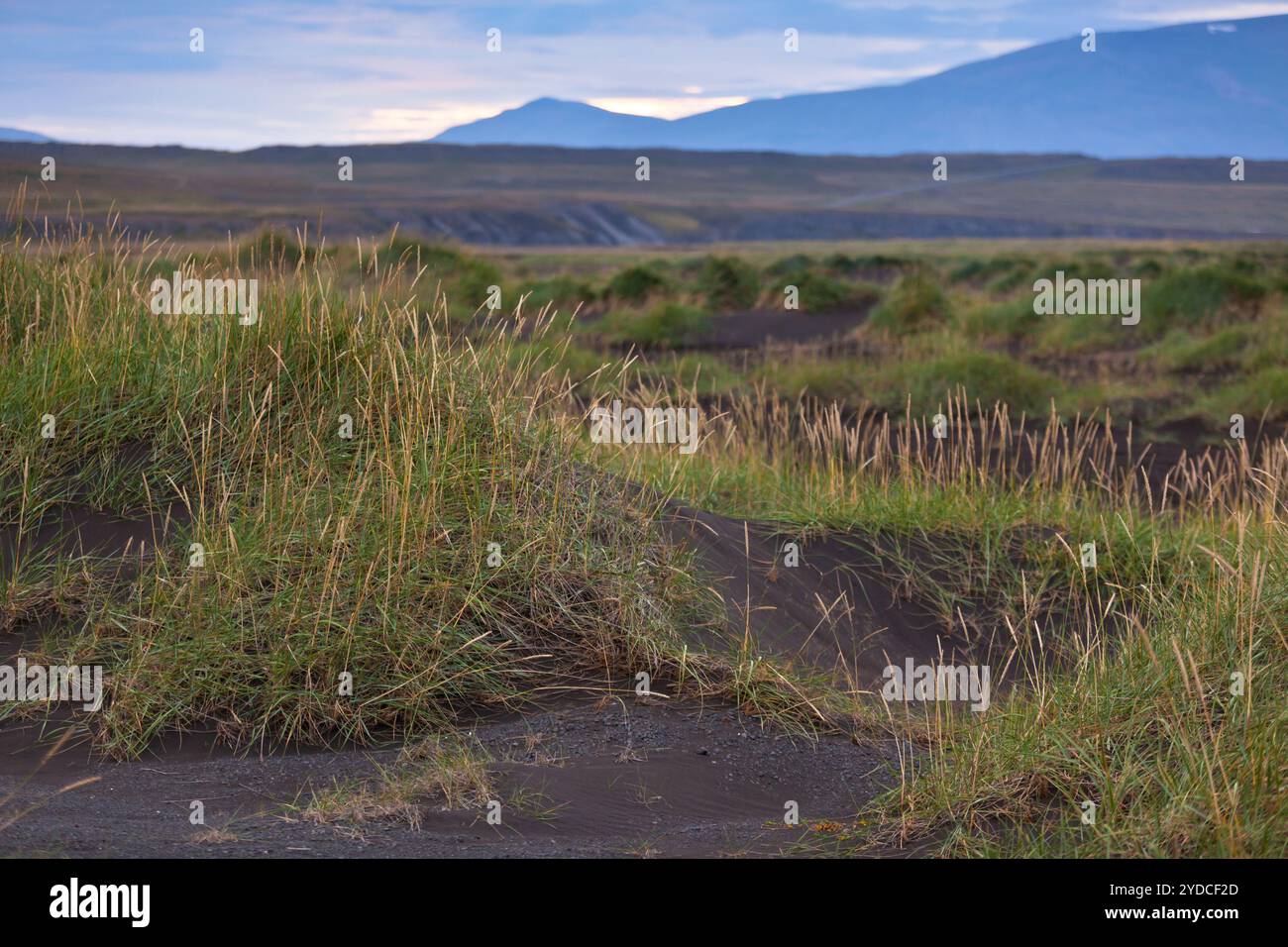 Ash dunes hi-res stock photography and images - Alamy