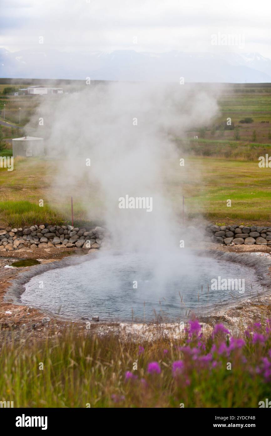 View geothermal field in hi-res stock photography and images - Alamy