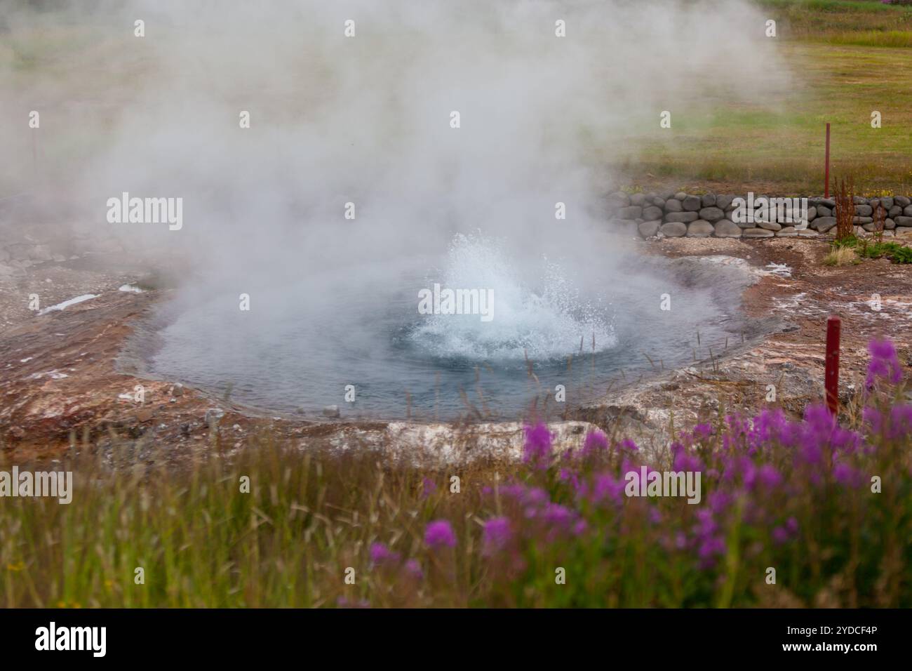 Scenics natural spring hi-res stock photography and images - Alamy