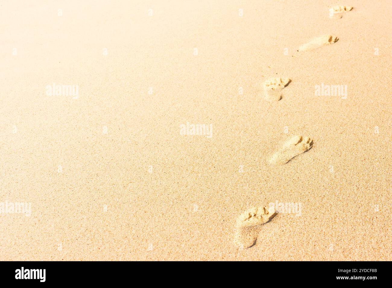 Human shadow on beach hi-res stock photography and images - Alamy