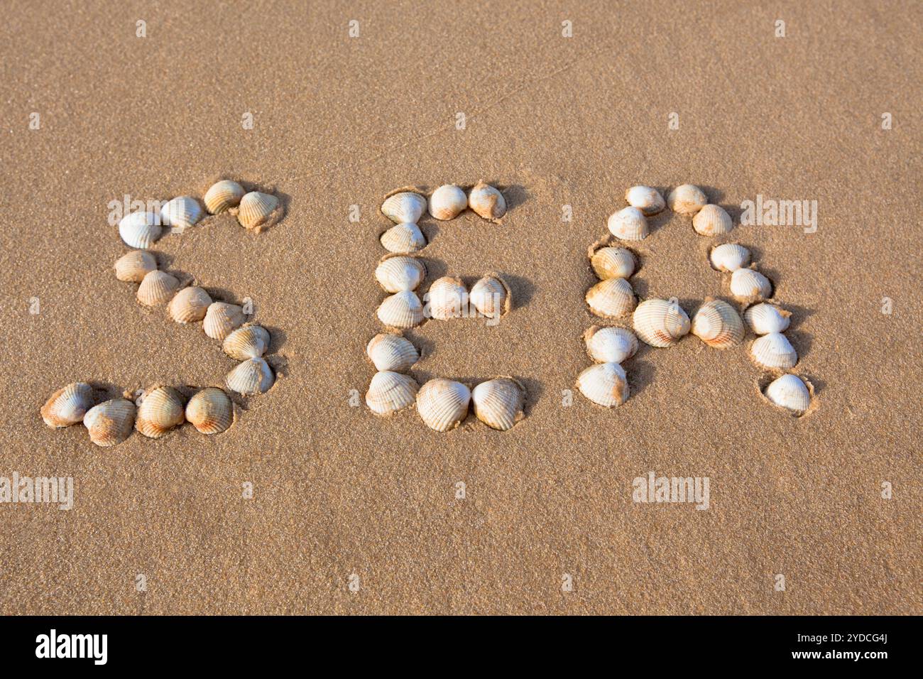 Word sea shell written on beach sand Stock Photo - Alamy