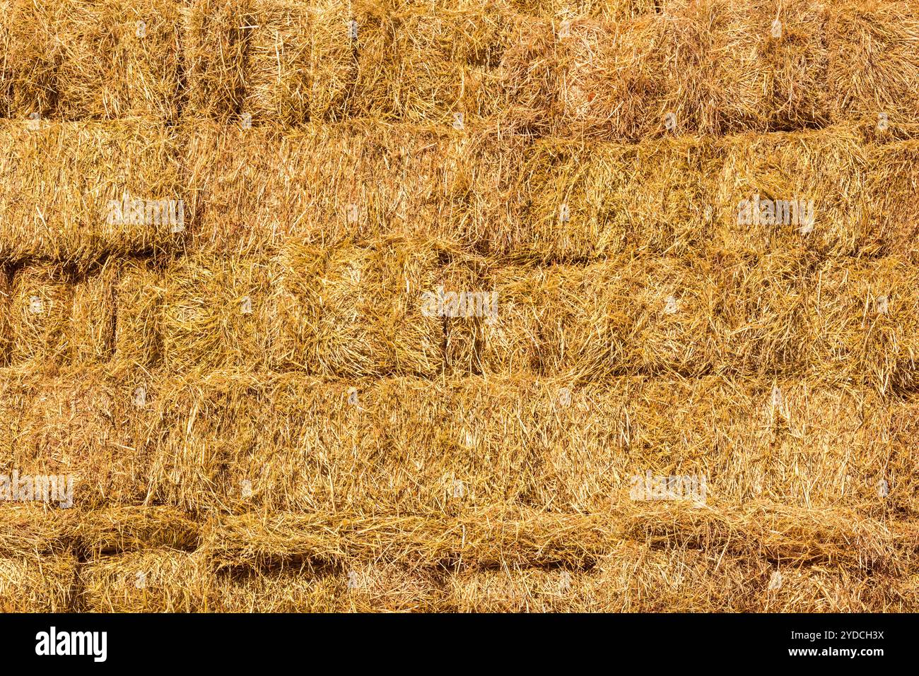 Fresh straw hay bales background Stock Photo - Alamy