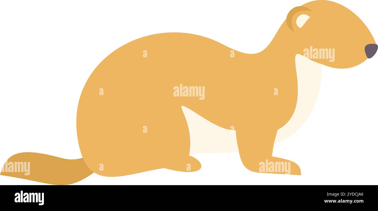 Illustration of a cute ermine mustelid sitting and watching carefully ...