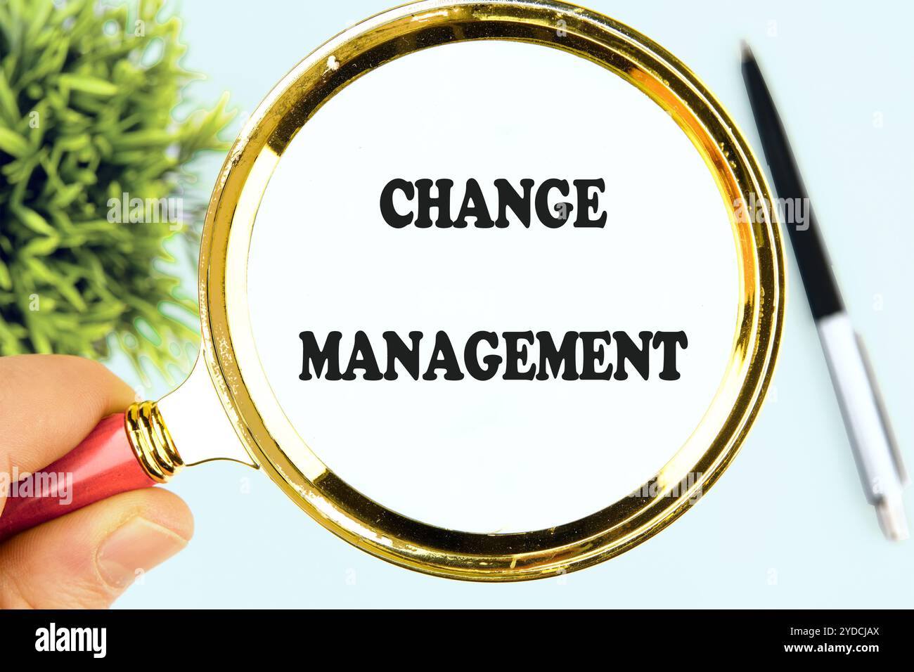 The concept of business and development. Conceptual text, phrase, words ...