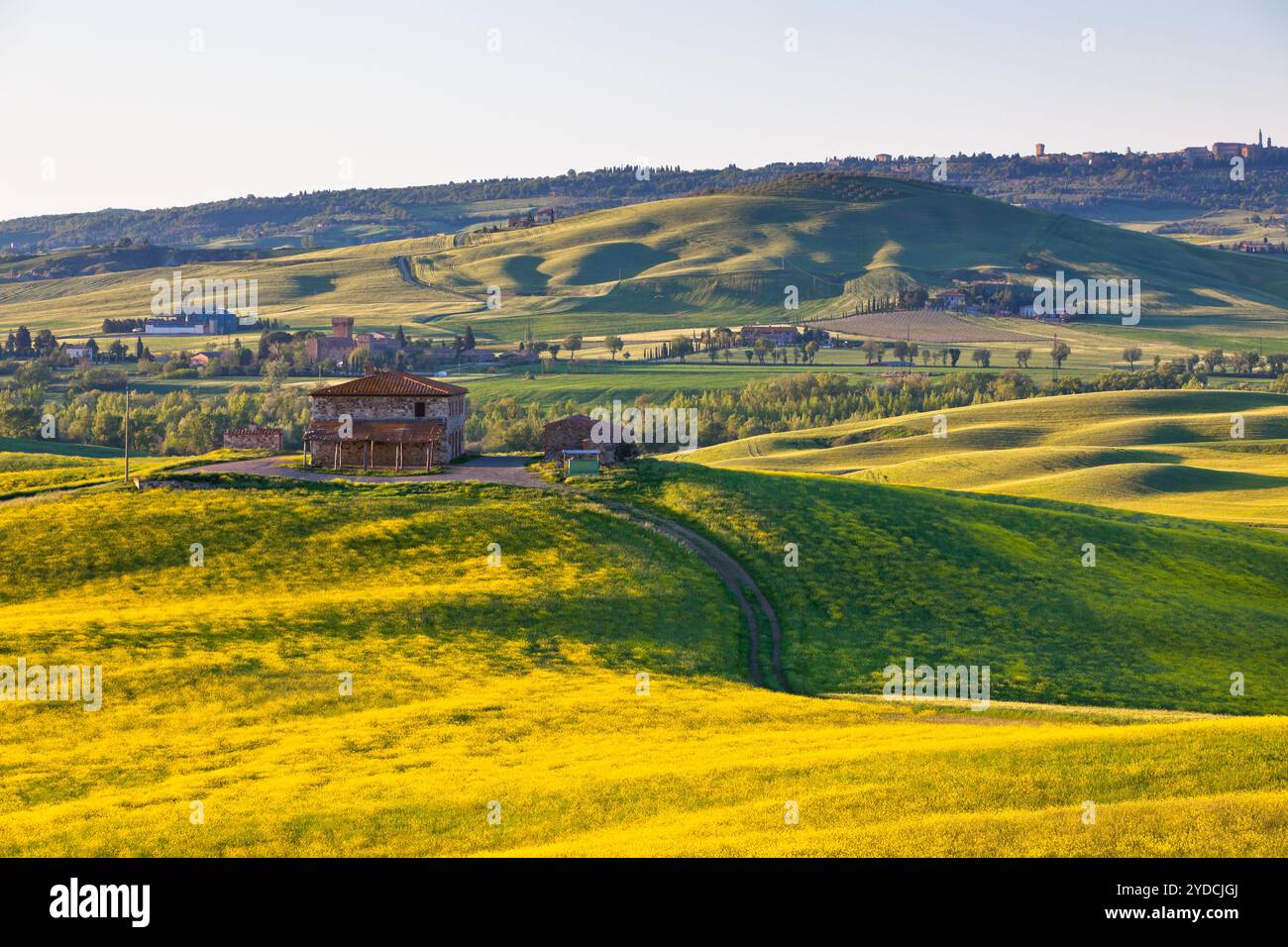 Outdoor Tuscan Val d Orcia green and yellow hills Stock Photo - Alamy