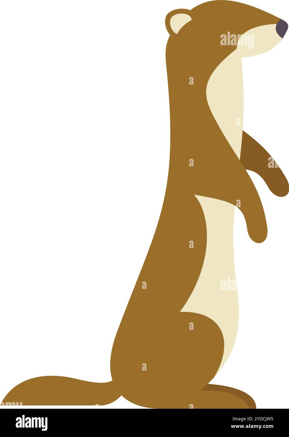 Minimalist vector illustration of a curious stoat standing on its hind ...