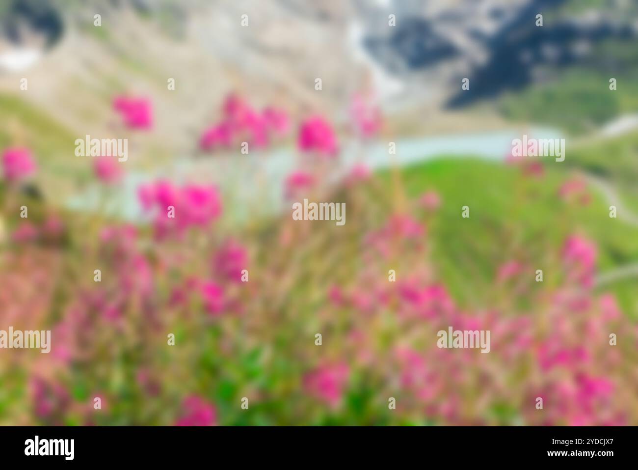 Swiss Apls view with wild pink flowers Stock Photo - Alamy