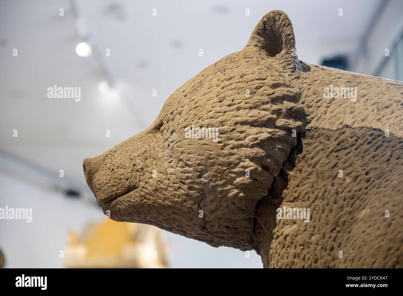 Trier Germany 3rd October 2024 Rheinische Landesmuseum Trier ...