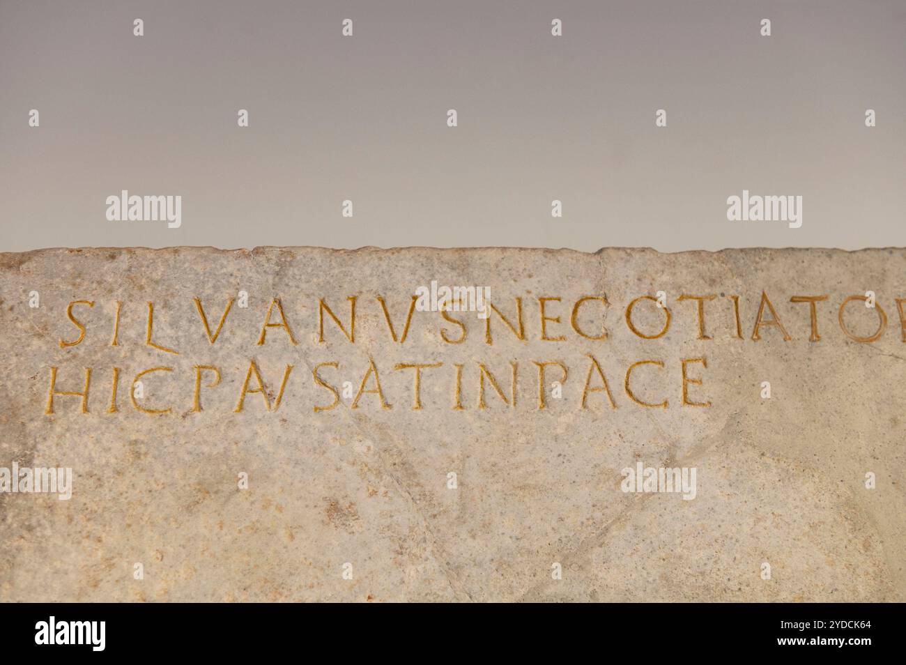 Trier Germany 3rd October 2024 Rheinische Landesmuseum Trier ...