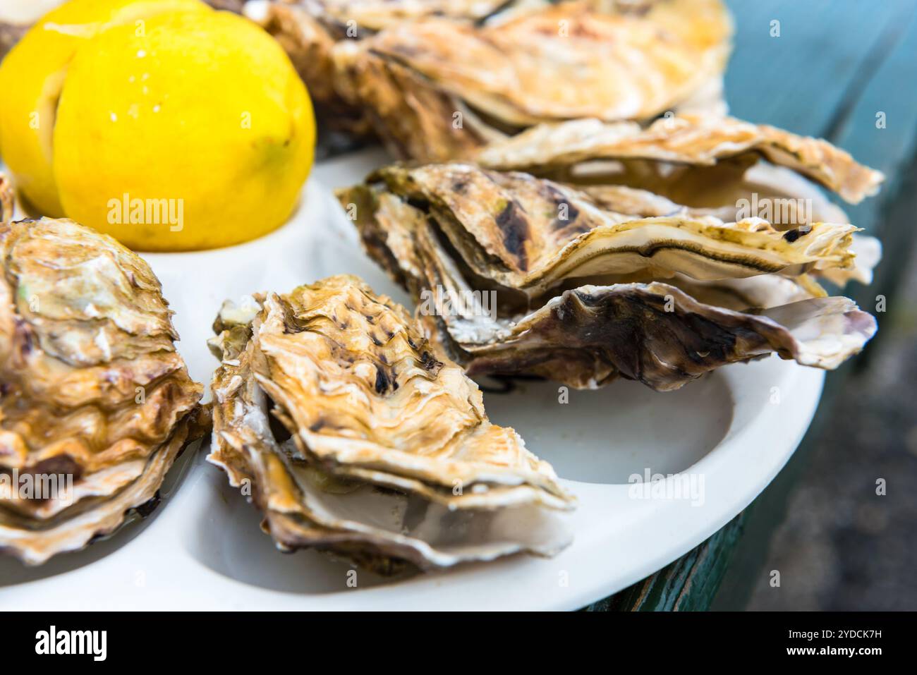 Plastic shell hi-res stock photography and images - Alamy