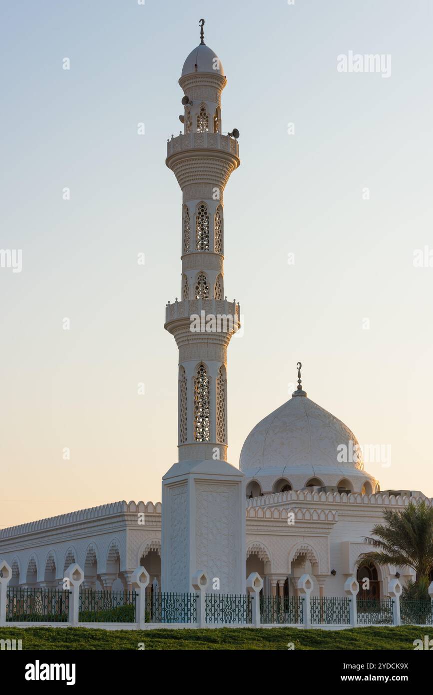 Abu dhabi oasis hi-res stock photography and images - Alamy