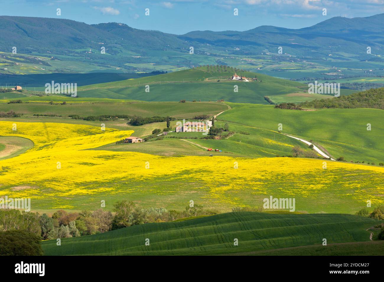 Tuscan Valley d'Orcia hills Stock Photo - Alamy