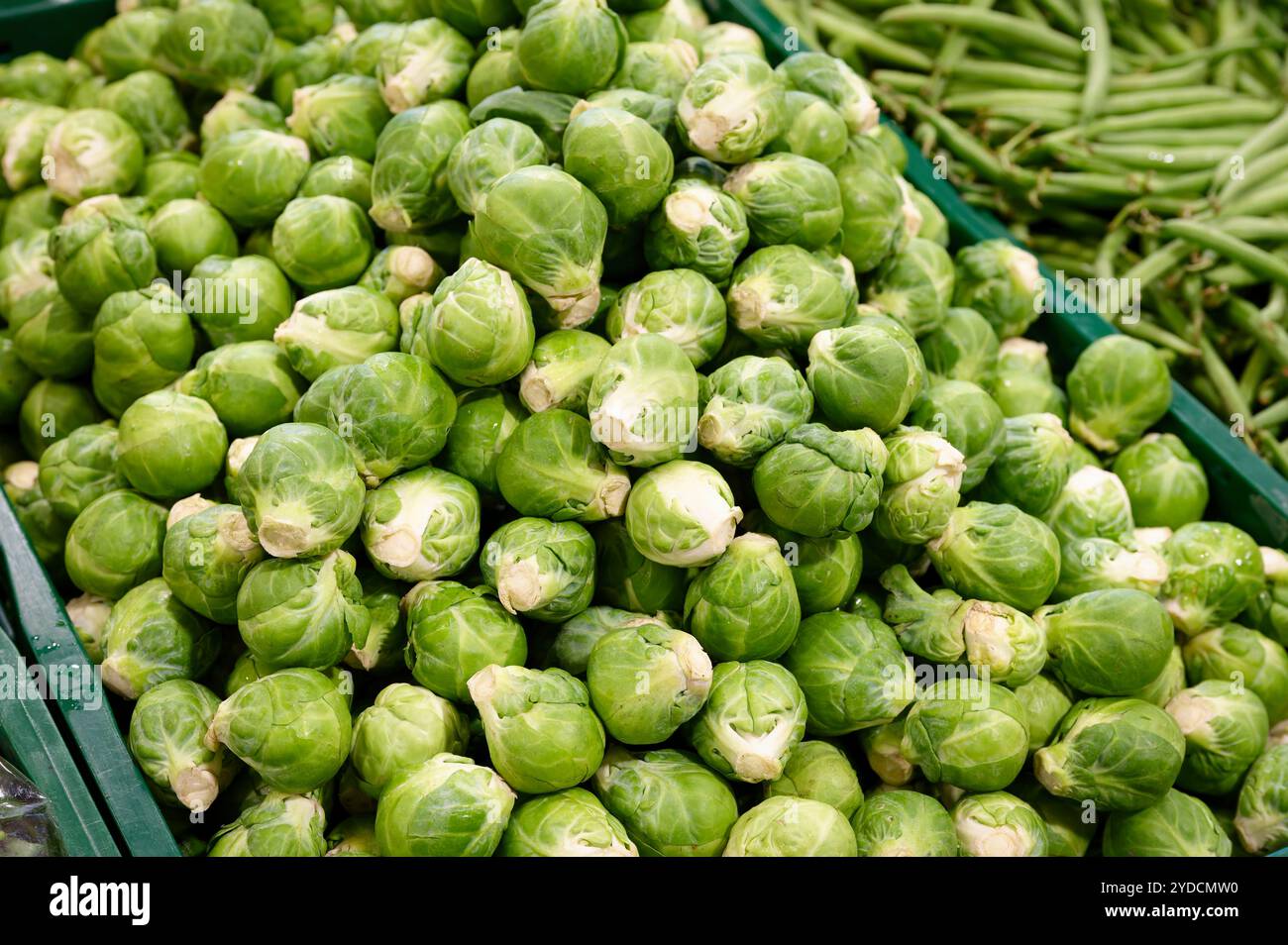 Selection of brussels sprouts hi-res stock photography and images - Alamy
