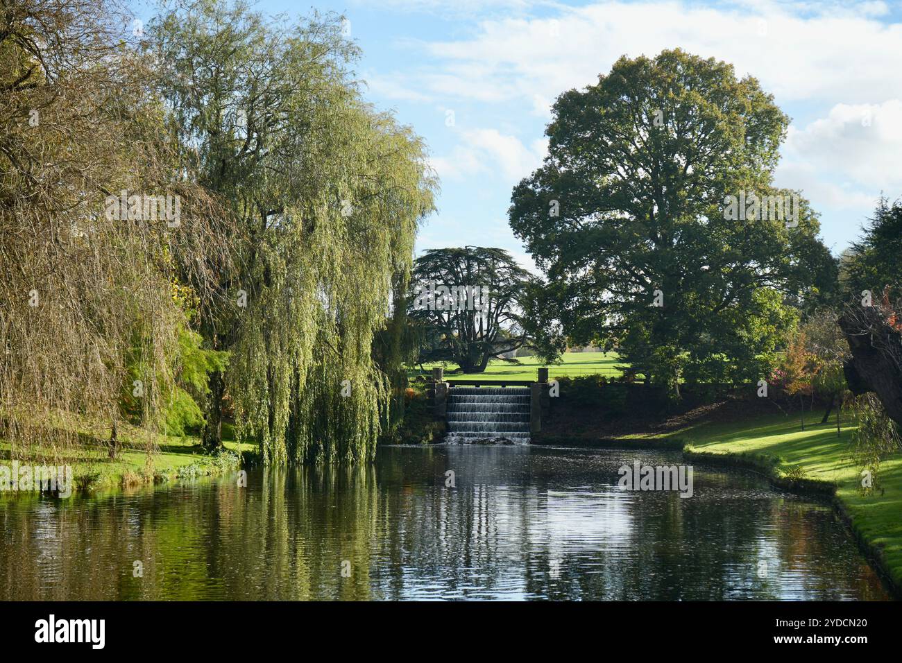 The Cascade into The Cascade Gardens pool with trees and gardens at ...