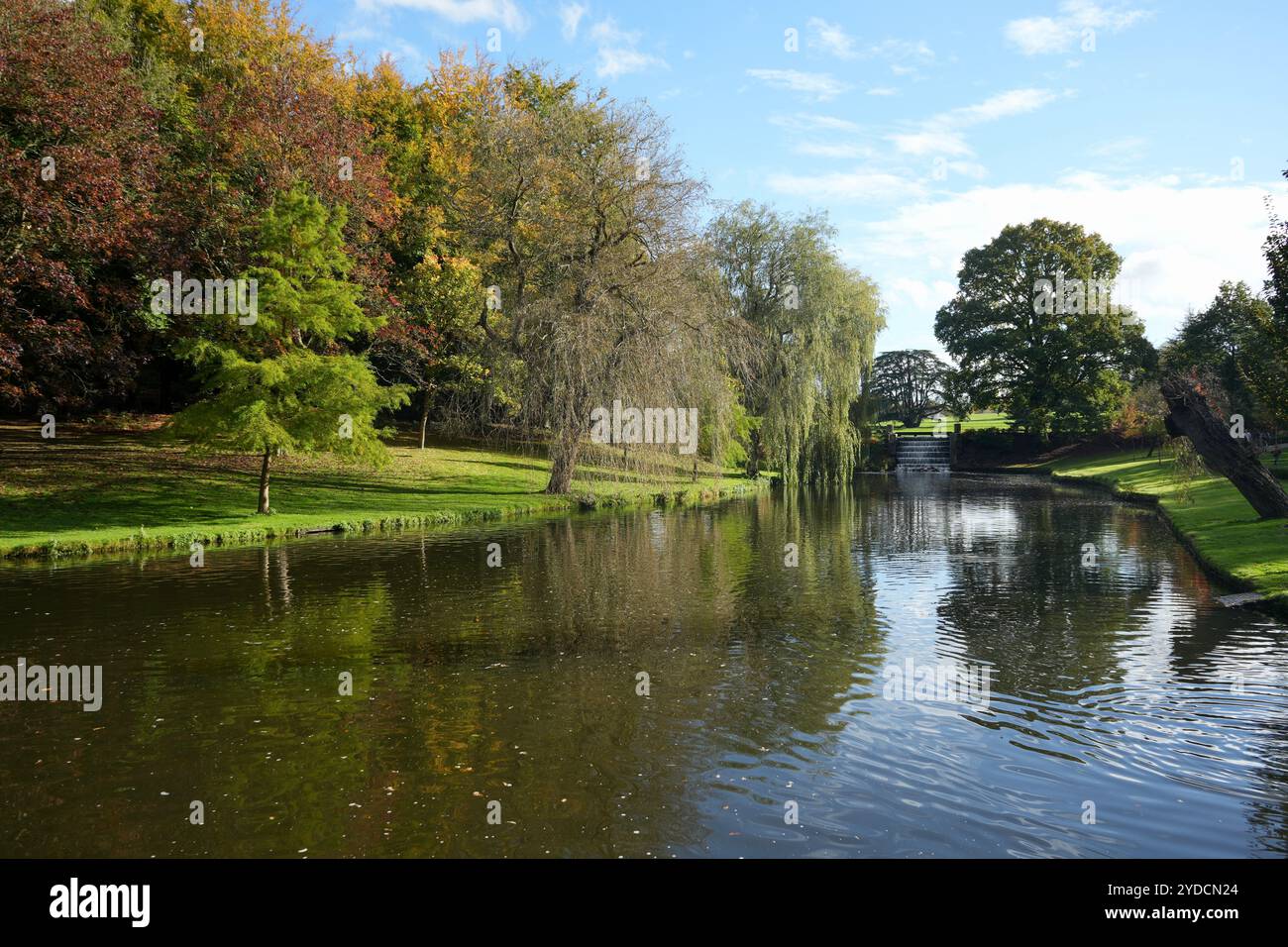 The Cascade into The Cascade Gardens pool with trees and gardens at ...