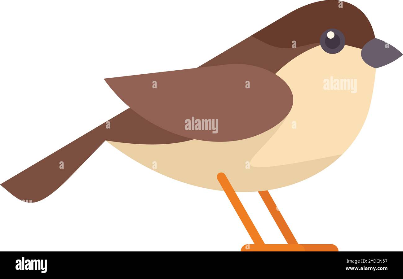 Small brown beige bird Cut Out Stock Images & Pictures - Alamy