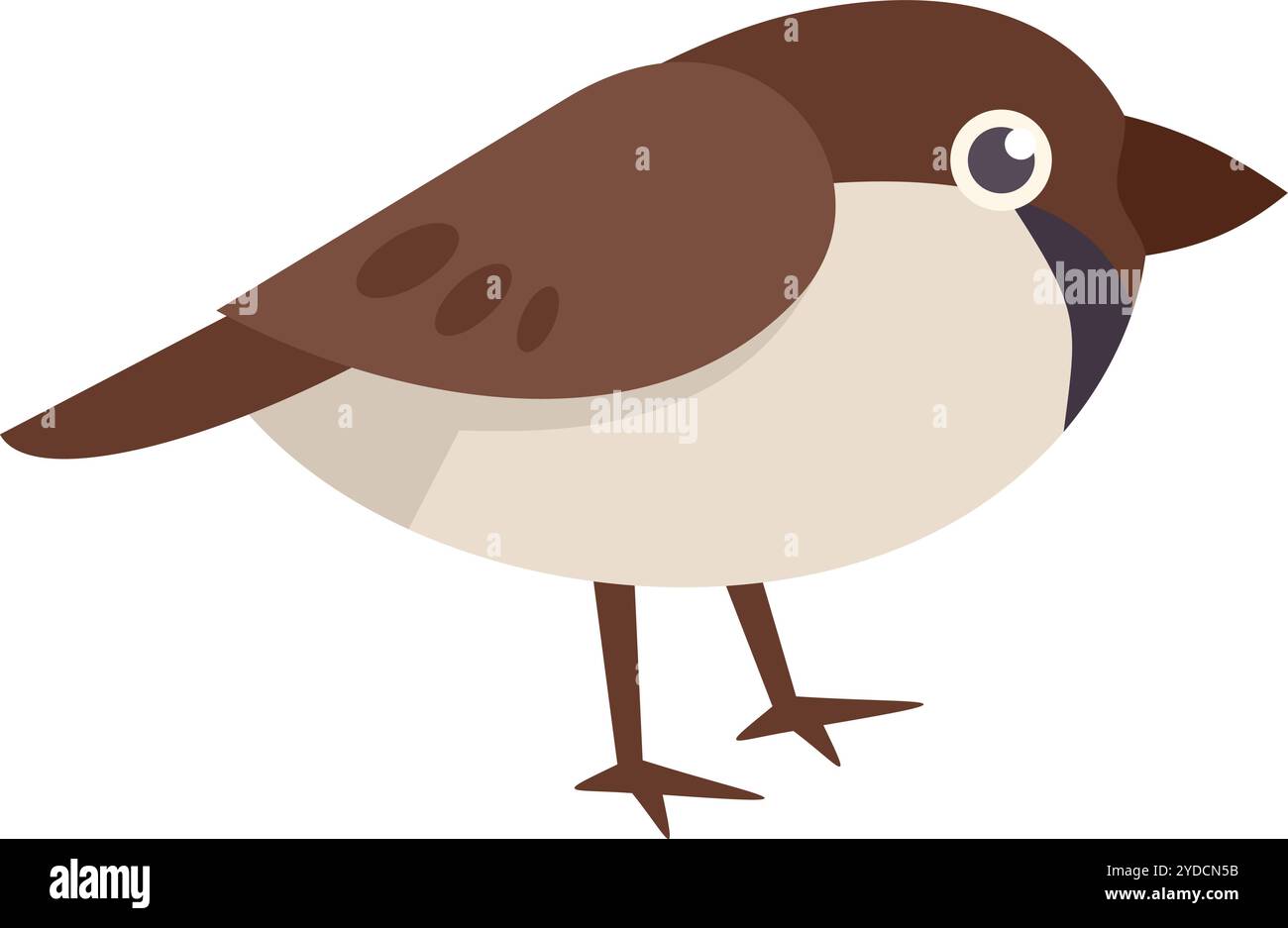 Dainty legs Stock Vector Images - Alamy