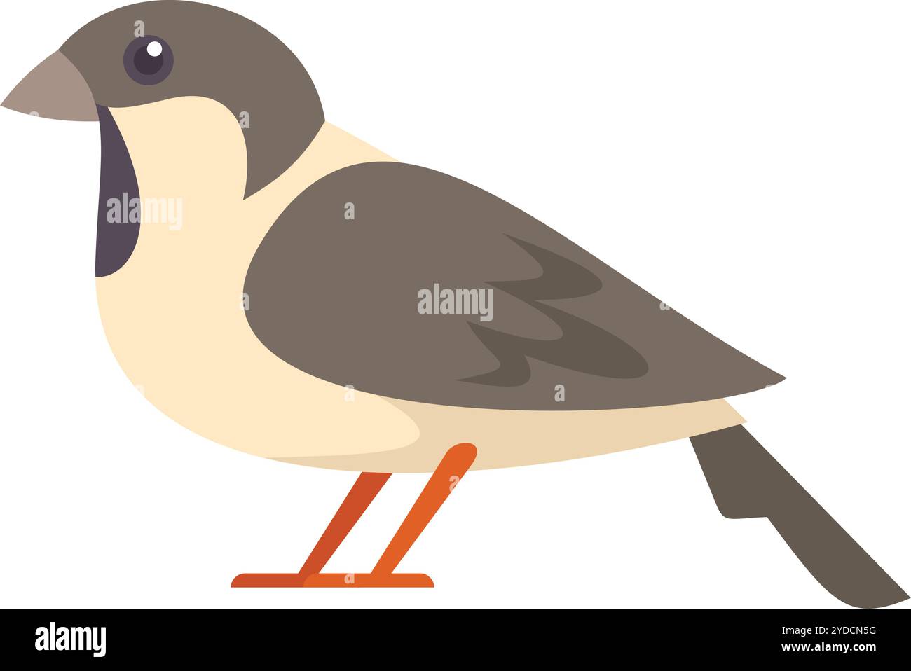 Simple cartoon style illustration of a small brown and beige bird ...