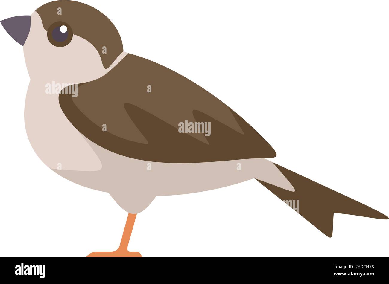 Simple cartoon style illustration of a common house sparrow bird ...