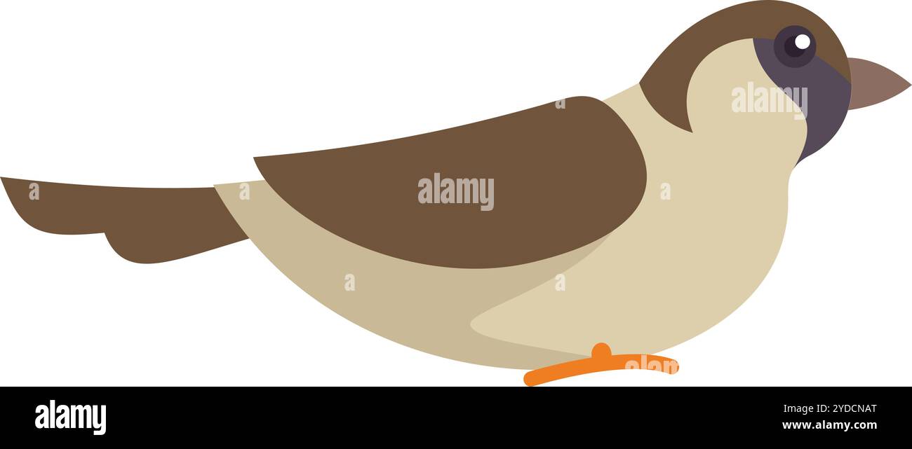 Small brown and beige bird standing on a branch, simple flat vector ...