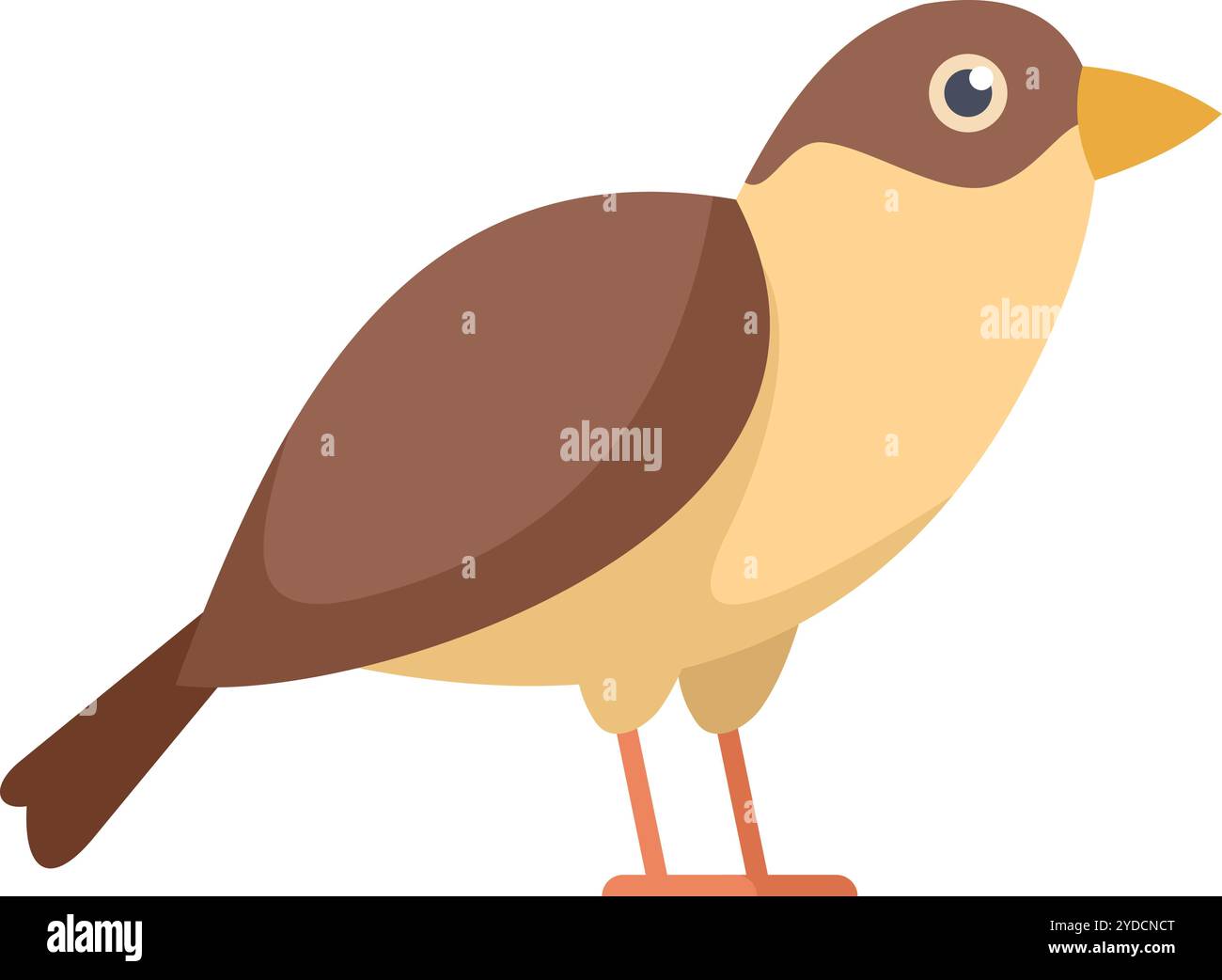 Minimalist illustration of a common bird standing still, in profile, on ...