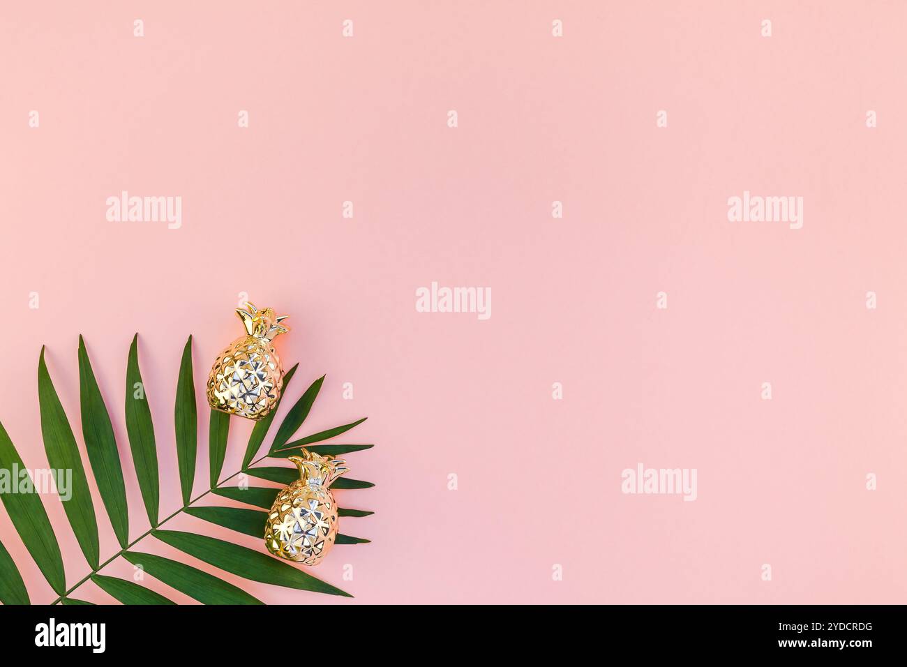 Creative pink background tropical hi-res stock photography and images ...