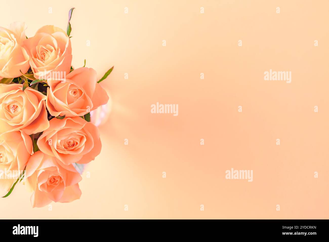 Fresh pink roses bouquet Stock Photo - Alamy