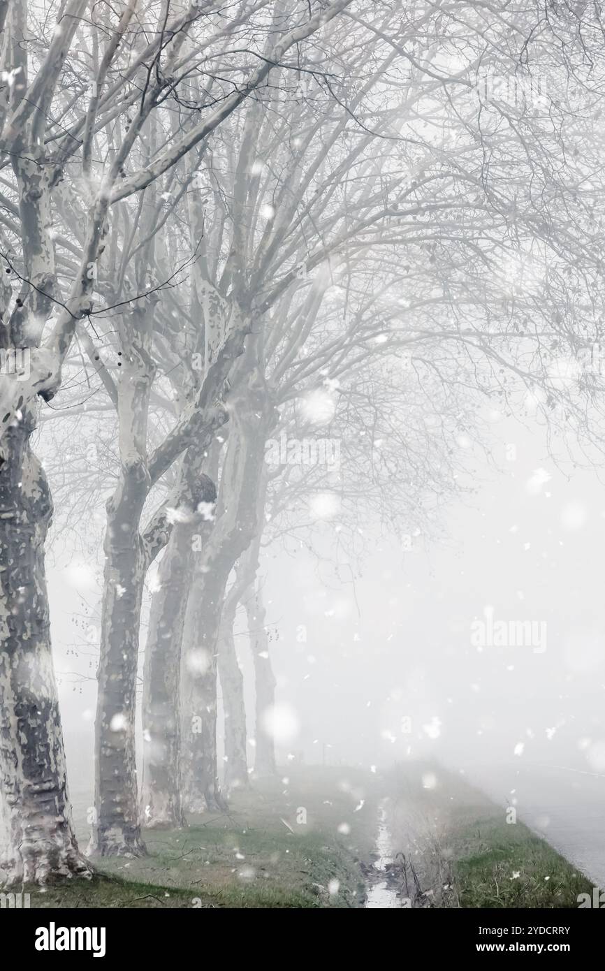 Foggy and snowy weather. Winter rural landscape with country road and ...