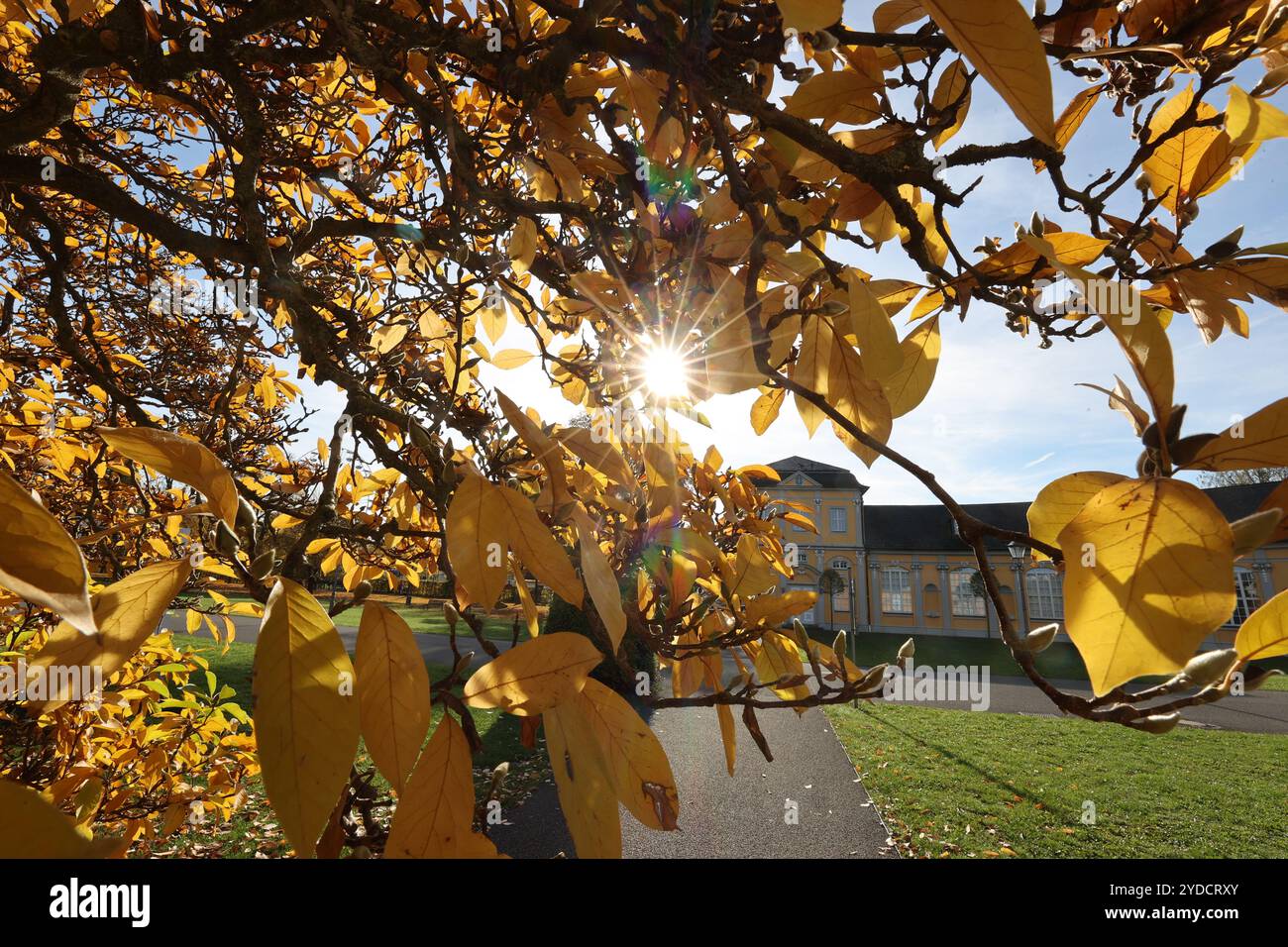 Orangery gera hi-res stock photography and images - Alamy