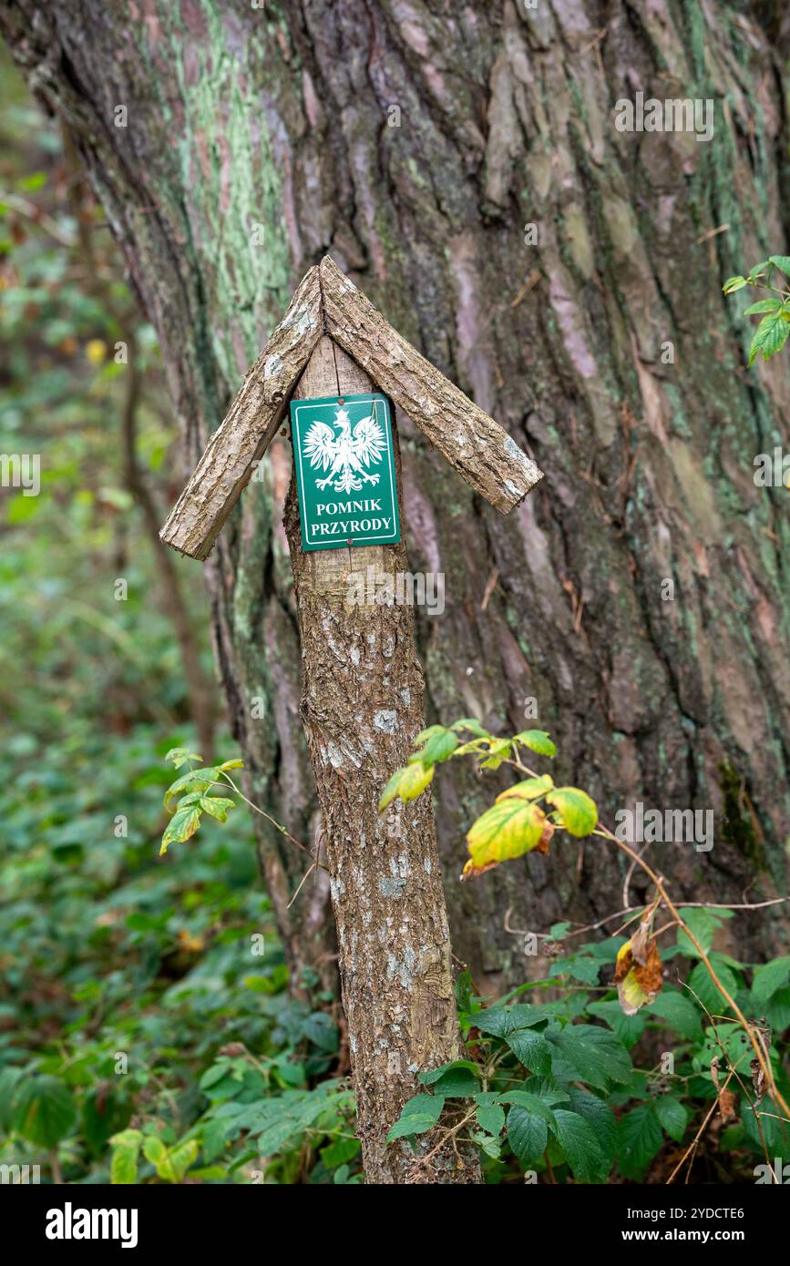 'Nature monument' (polish 'pomnik przyrody') sign used to indicate ...