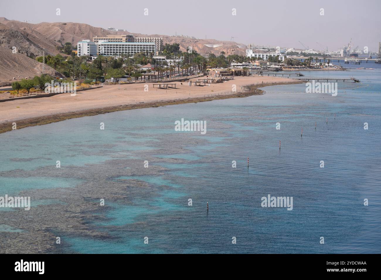 Eilat coral reef, Eilat, Israel, Red sea Stock Photo - Alamy
