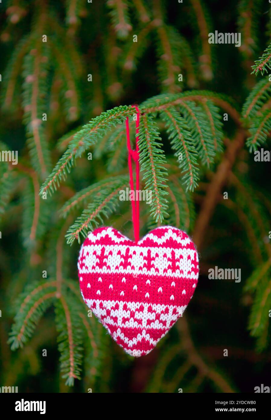 Knitting heart on fir-tree branch Stock Photo - Alamy