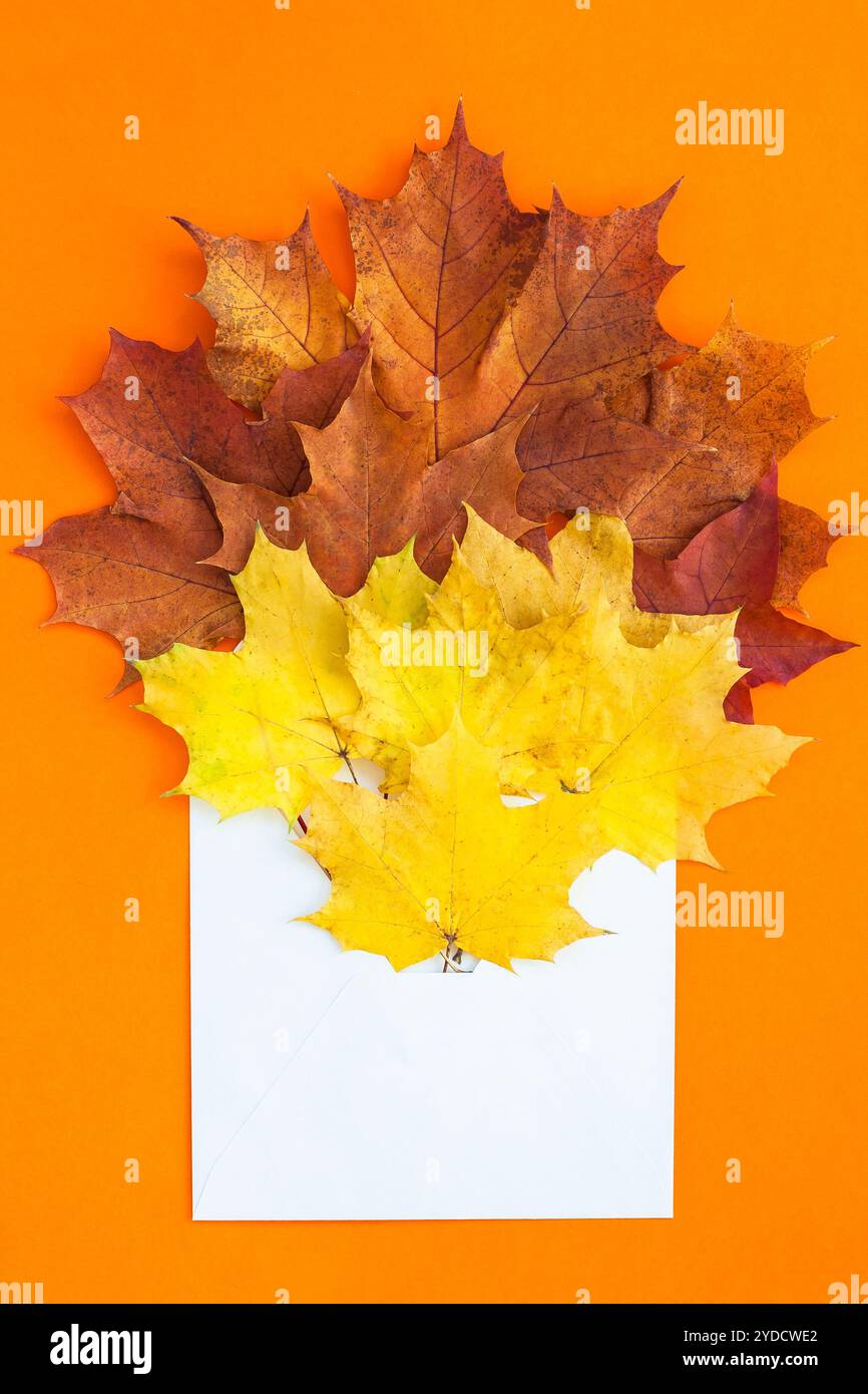 Autumn leaves in paper envelope mockup Stock Photo - Alamy
