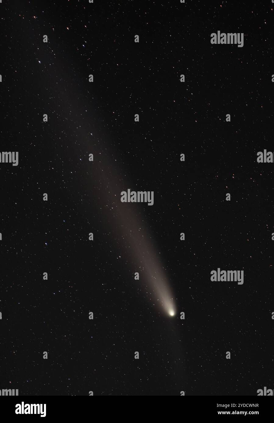 Comet C/2023 A3 Tsuchinshan-ATLAS in the night sky, seen from the ...