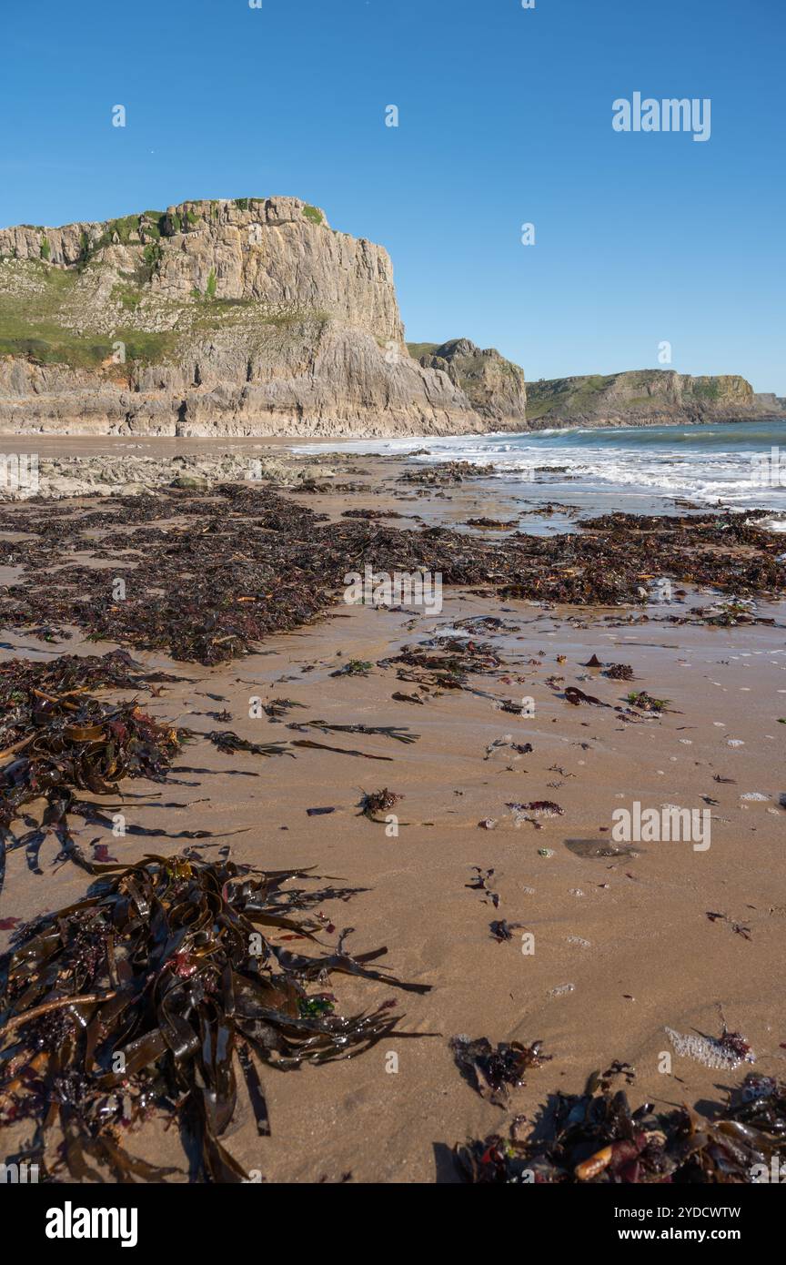 Low tide at Fall Bay, Gower, Wales, UK Stock Photo - Alamy