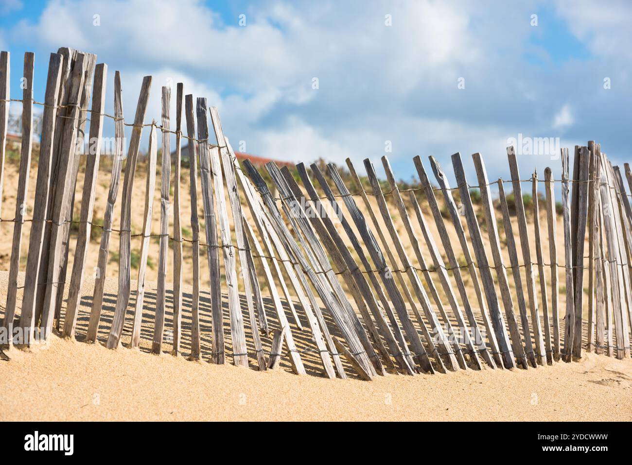 Wooden fence on Atlantic beach in France Stock Photo - Alamy