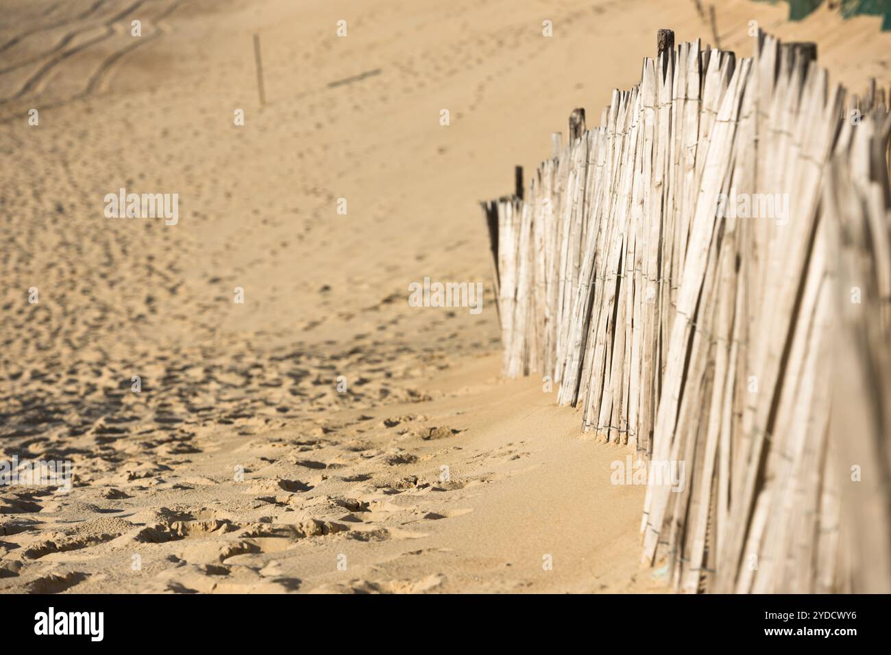 Wooden fence on Atlantic beach in France Stock Photo - Alamy