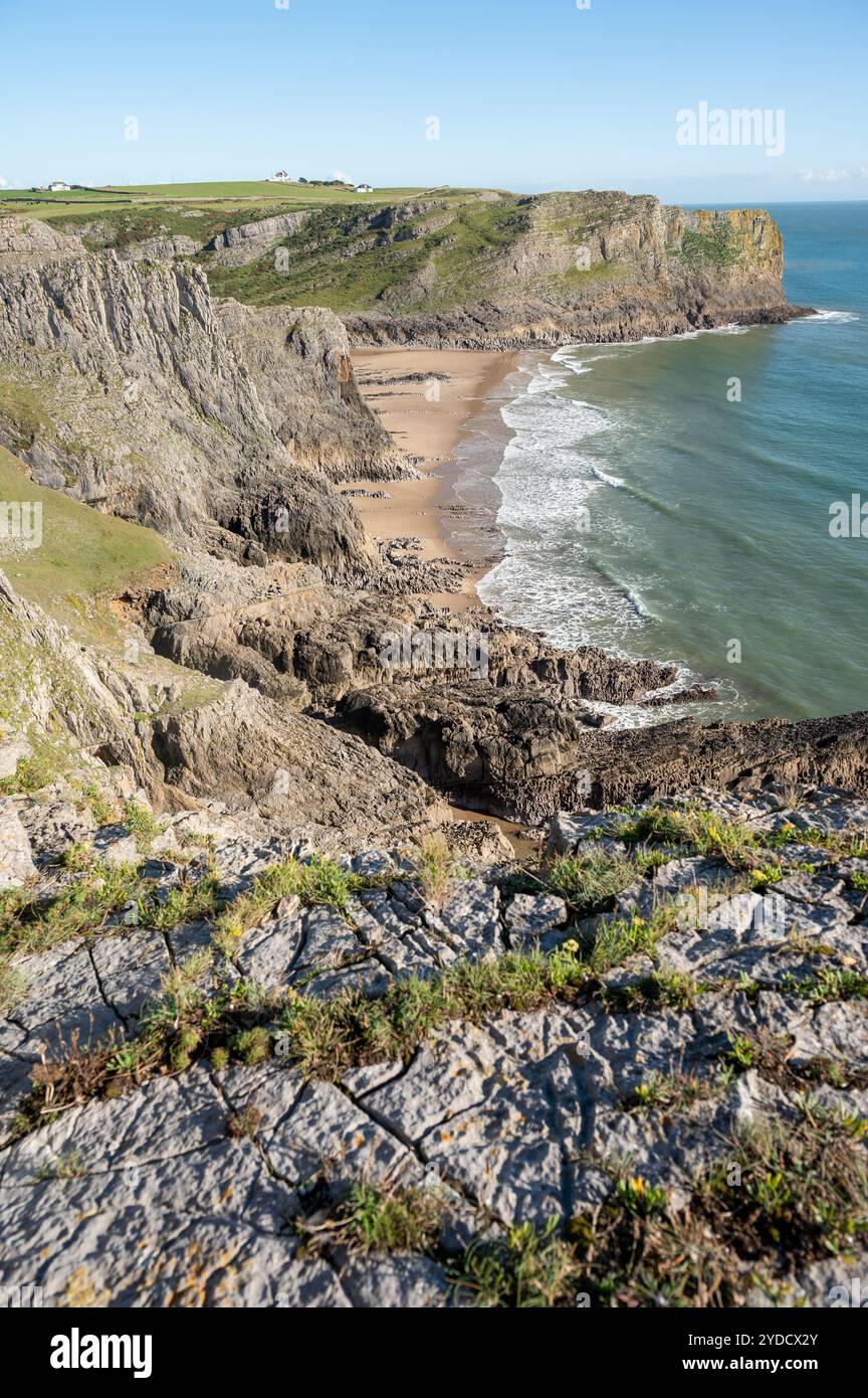 Carboniferous limestone cliff at Mewslade Bay, Gower, Wales, UK Stock ...