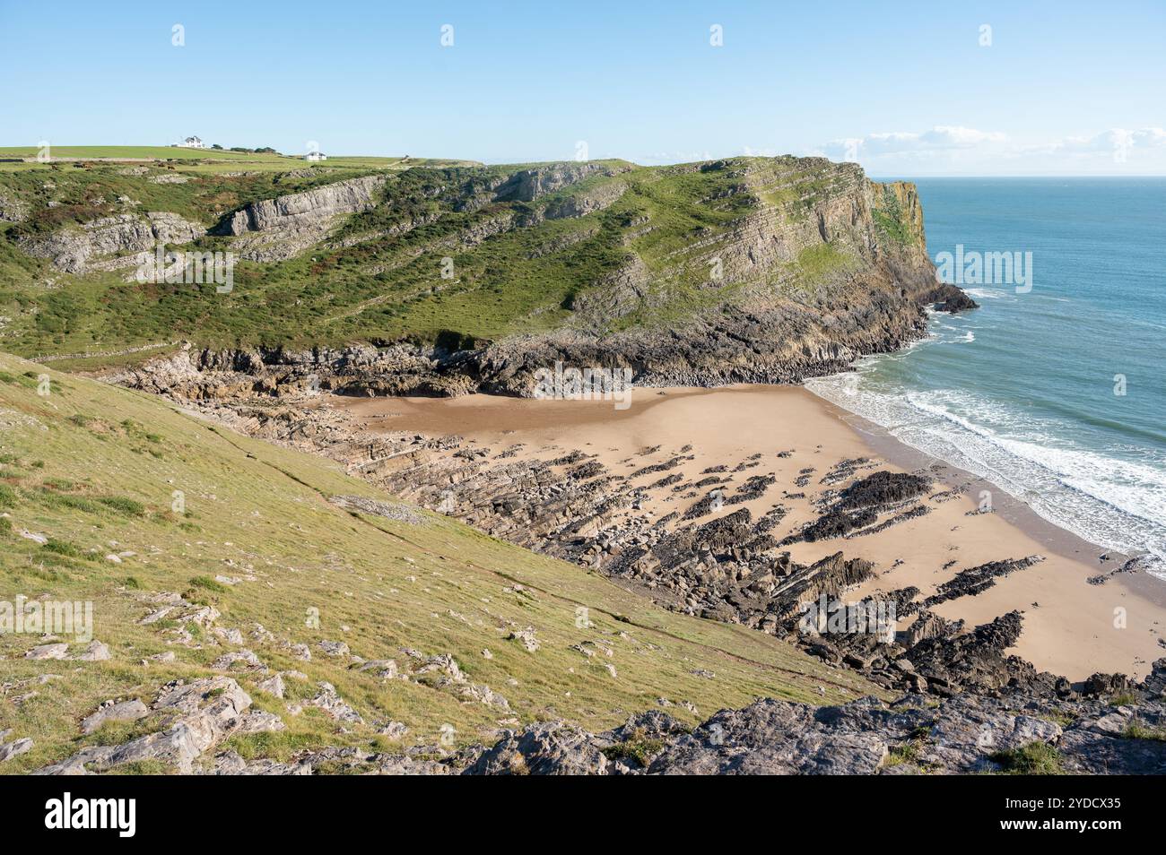 Carboniferous limestone cliff at Mewslade Bay, Gower, Wales, UK Stock ...