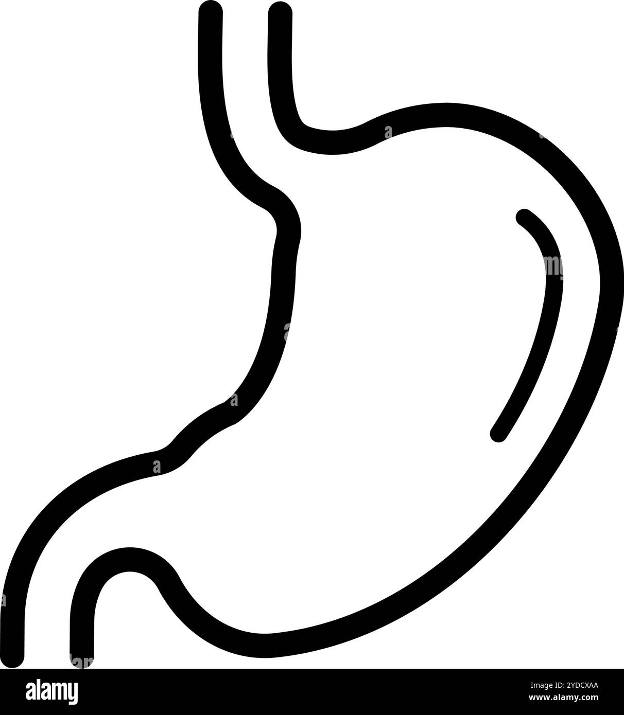 stomach - vector icon Stock Vector Image & Art - Alamy