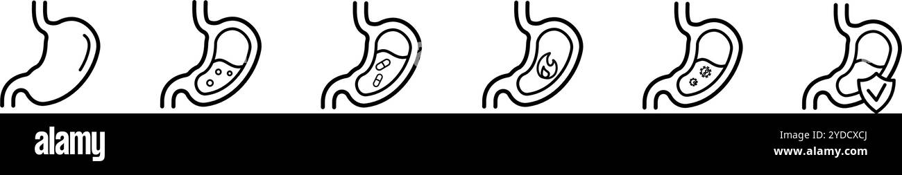 stomach - vector icon set Stock Vector Image & Art - Alamy