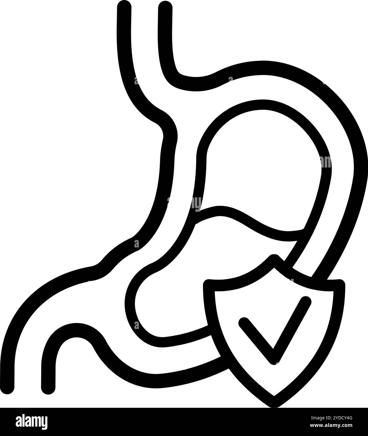 Stomach protection Stock Vector Images - Alamy