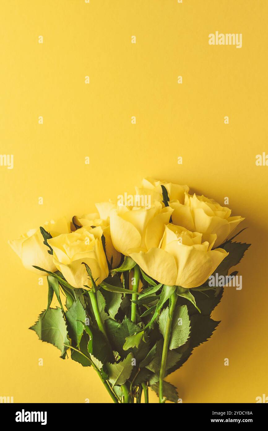 Summer yellow roses hi-res stock photography and images - Alamy
