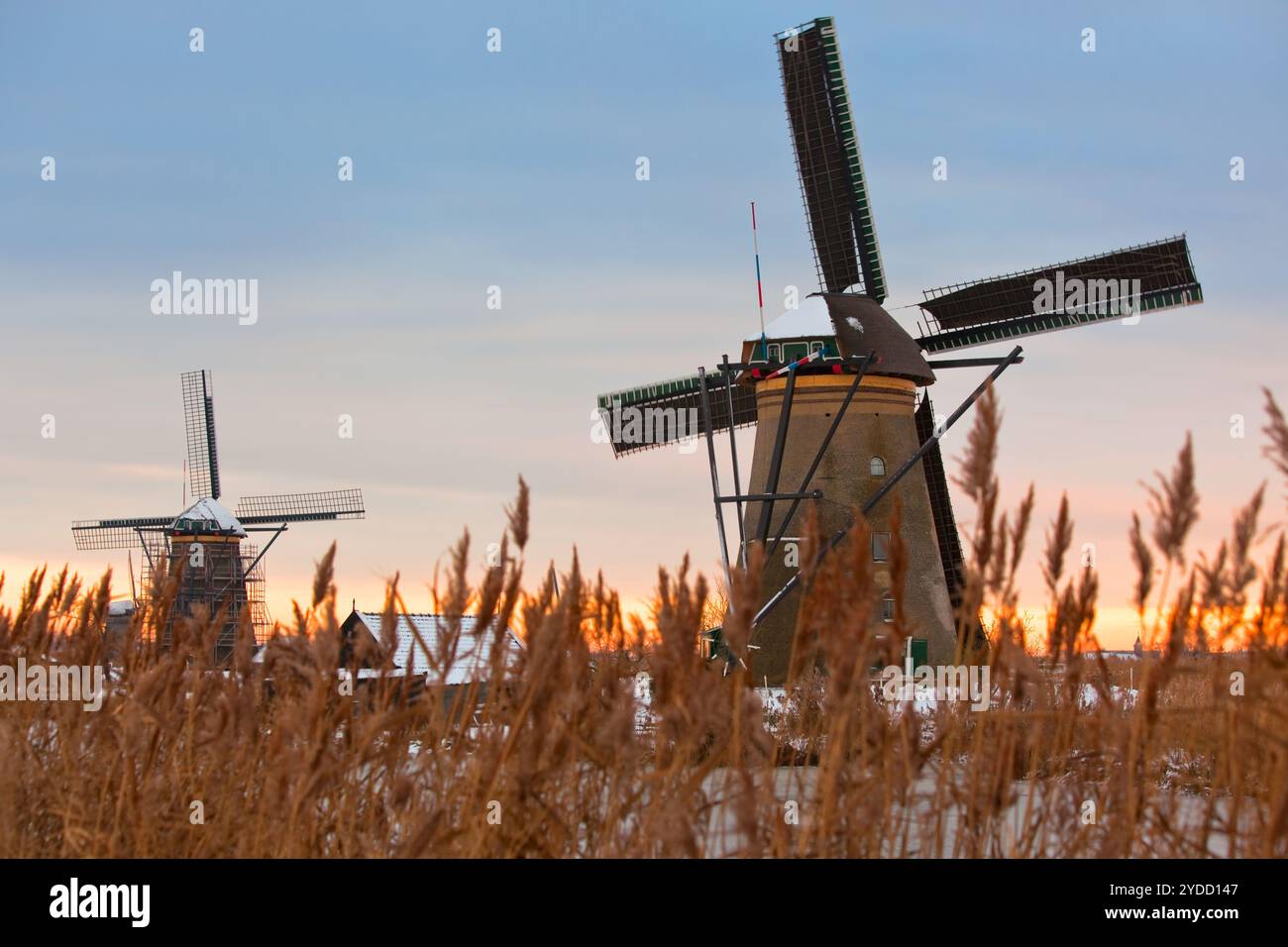 Kinderdijk Windmills in Winter Stock Photo - Alamy