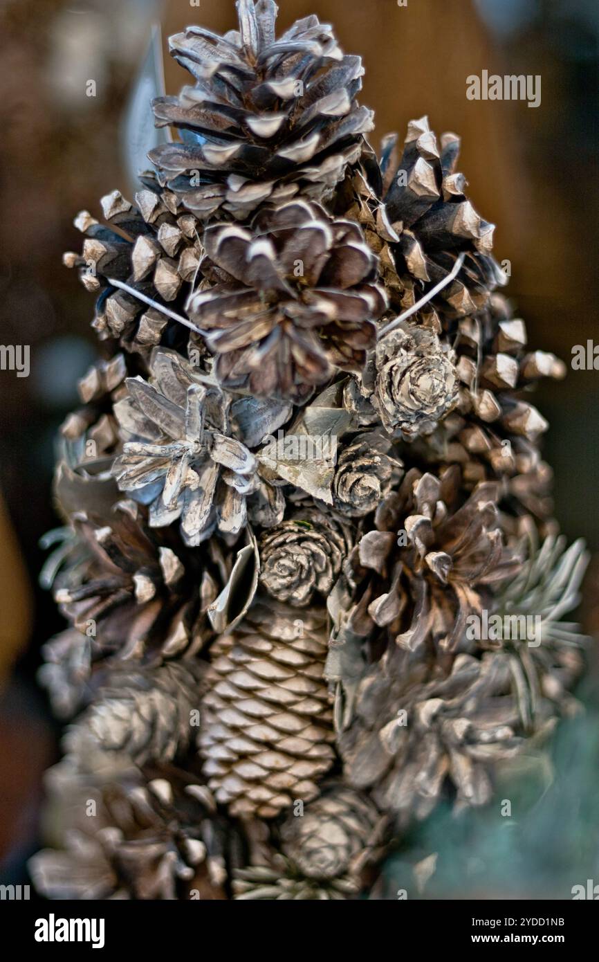 Close-up of a collection of pine cones in various sizes and shapes ...