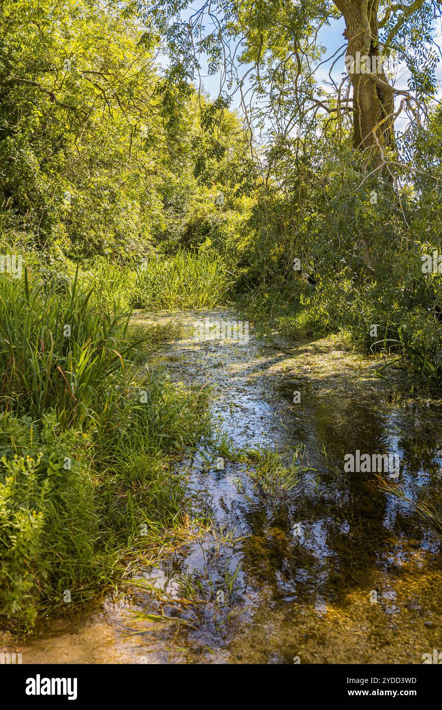 Somerford keynes thames hi-res stock photography and images - Alamy