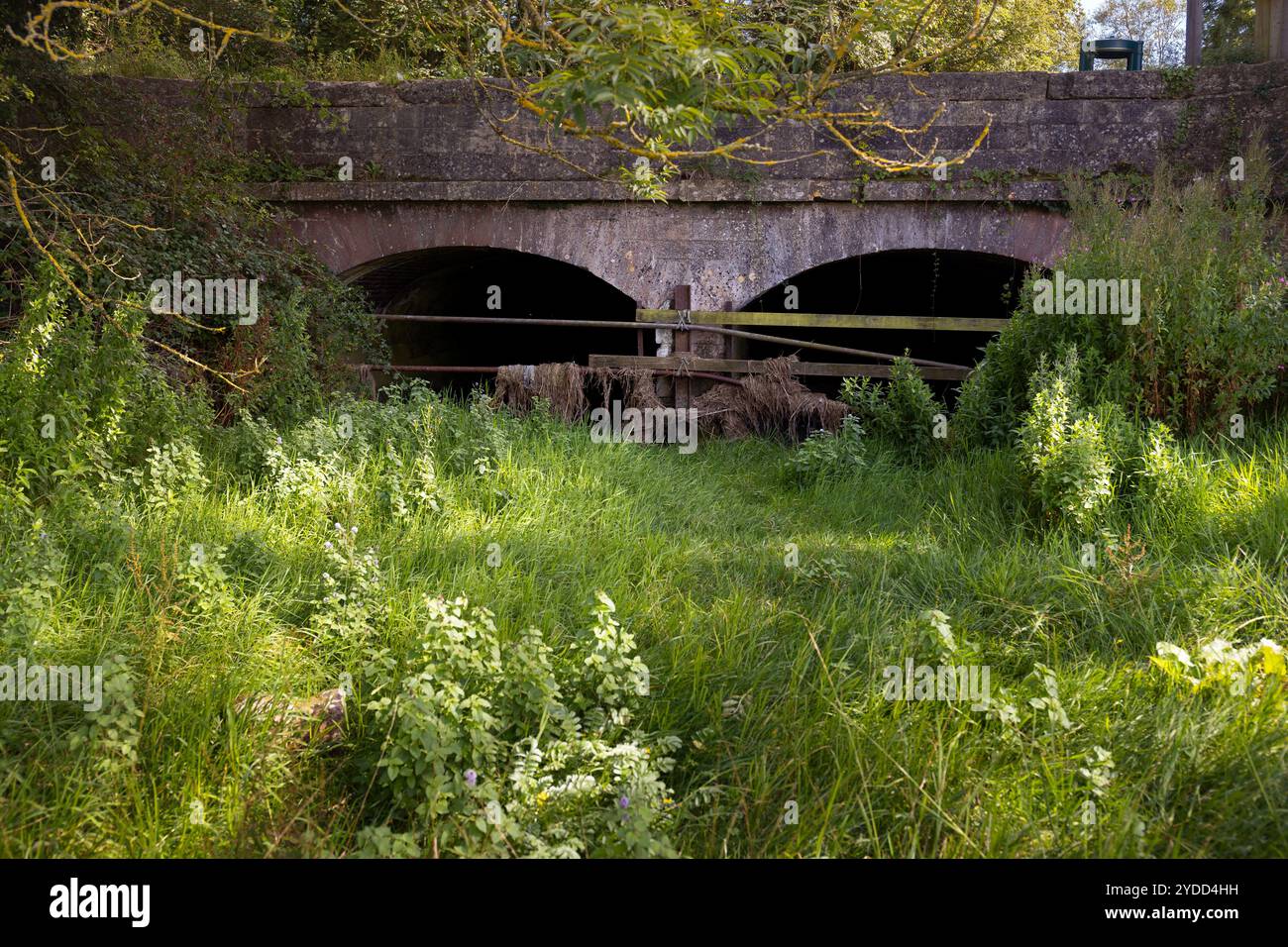 The first bridge to cross the River Thames from its source in ...