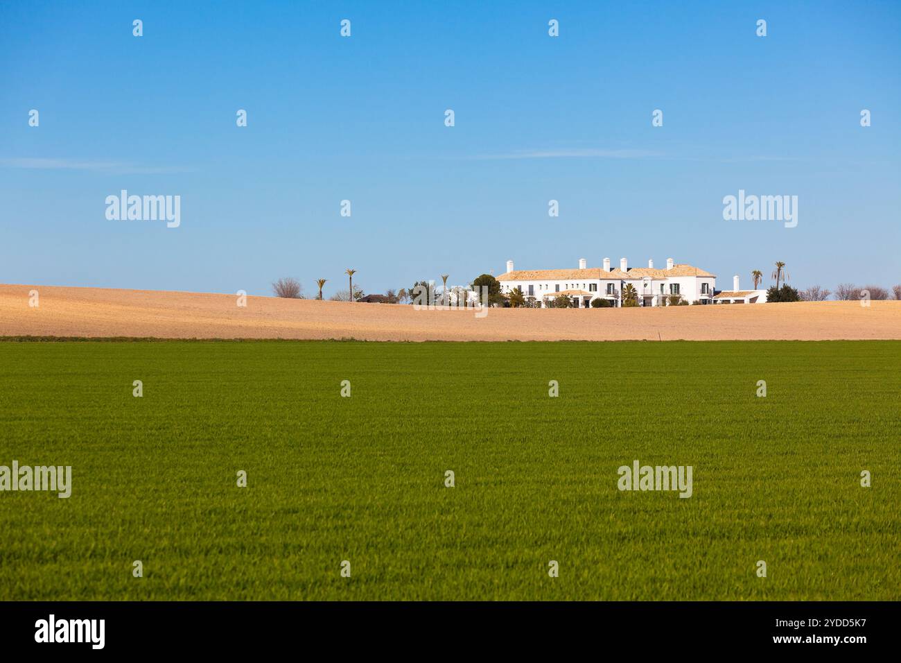 Building green house landscape hi-res stock photography and images - Alamy