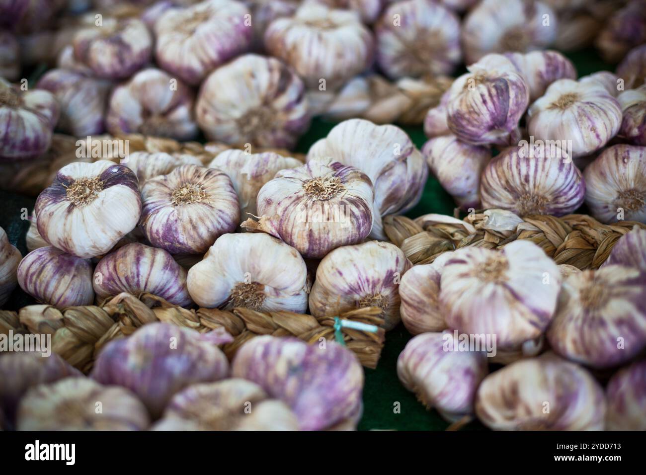 Macro close up bunches hi-res stock photography and images - Alamy